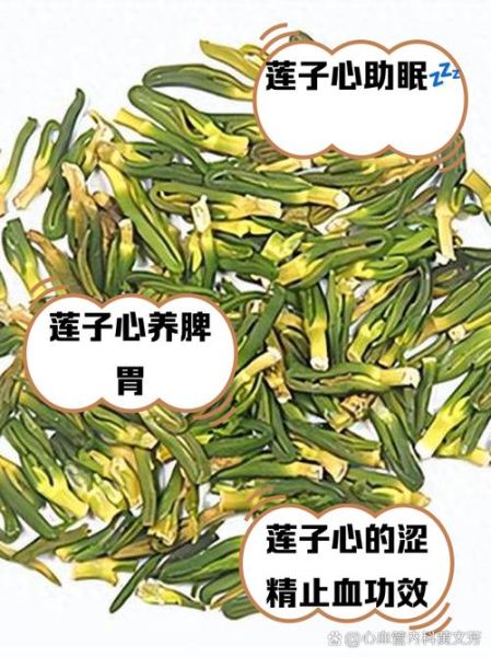 莲子芯的功效与作用_莲子芯的禁忌症有哪些-第1张图片-山城妙识