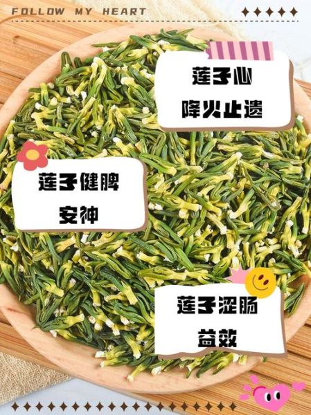 莲子芯的功效与作用_莲子芯的禁忌症有哪些-第3张图片-山城妙识