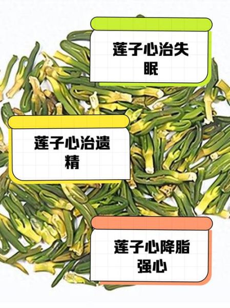 莲子芯的功效与作用_莲子芯的禁忌症有哪些-第2张图片-山城妙识