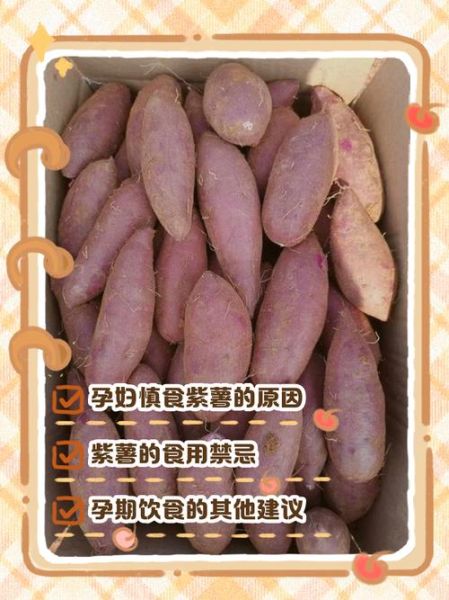 紫薯可以水煮吗_紫薯水煮营养会流失吗-第1张图片-山城妙识