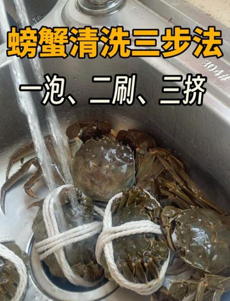 螃蟹怎么处理干净_活螃蟹清洗步骤-第1张图片-山城妙识