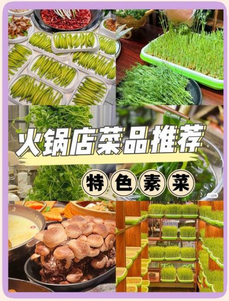 适合煮火锅的素菜有哪些_哪些蔬菜涮火锅最好吃-第2张图片-山城妙识 适合煮火锅的素菜有哪些_哪些蔬菜涮火锅最好吃-第2张图片-山城妙识