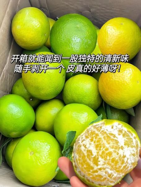 皇帝柑是热性还是凉性_皇帝柑上火吗-第3张图片-山城妙识 皇帝柑是热性还是凉性_皇帝柑上火吗-第3张图片-山城妙识