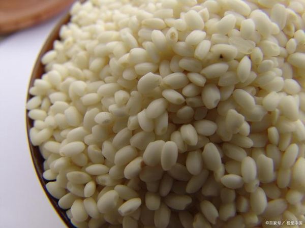 江米是什么_江米和糯米一样吗-第3张图片-山城妙识 江米是什么_江米和糯米一样吗-第3张图片-山城妙识
