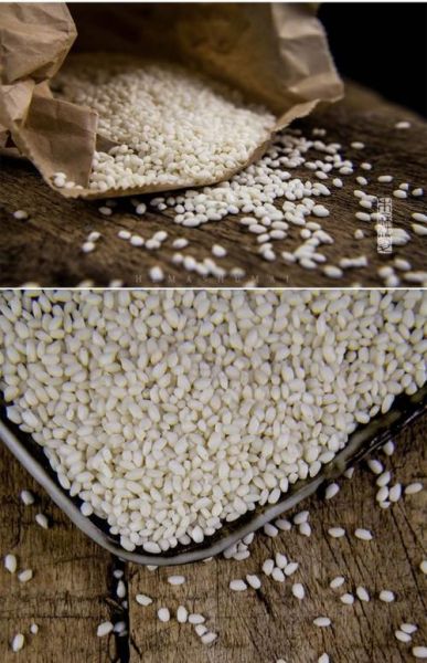 江米是什么_江米和糯米一样吗-第1张图片-山城妙识 江米是什么_江米和糯米一样吗-第1张图片-山城妙识