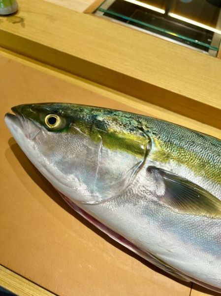 鲦鱼图片怎么拍_鲦鱼图片高清下载-第1张图片-山城妙识 鲦鱼图片怎么拍_鲦鱼图片高清下载-第1张图片-山城妙识