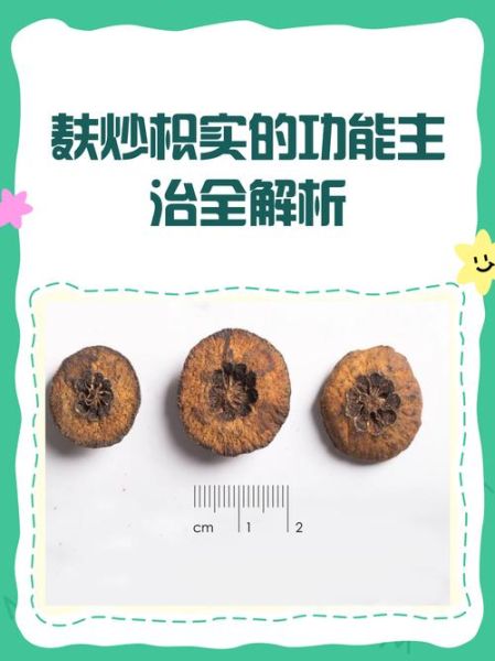 麸炒枳实的功效与作用_麸炒枳实和生枳实区别-第3张图片-山城妙识 麸炒枳实的功效与作用_麸炒枳实和生枳实区别-第3张图片-山城妙识