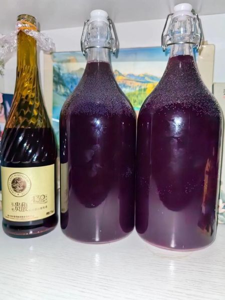 10斤葡萄放几斤冰糖_自酿葡萄酒比例-第1张图片-山城妙识 10斤葡萄放几斤冰糖_自酿葡萄酒比例-第1张图片-山城妙识