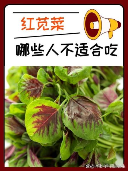 红苋菜的功效与作用_红苋菜的营养价值有哪些-第3张图片-山城妙识 红苋菜的功效与作用_红苋菜的营养价值有哪些-第3张图片-山城妙识