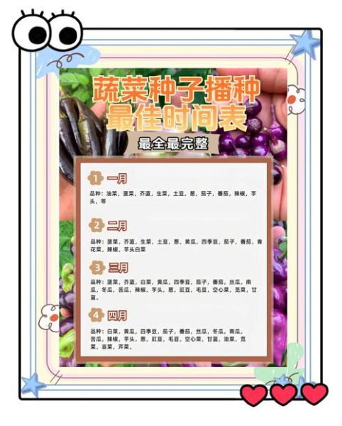 蔬菜种植技术培训_如何科学种菜-第1张图片-山城妙识