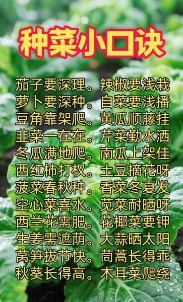 蔬菜种植技术培训_如何科学种菜-第3张图片-山城妙识