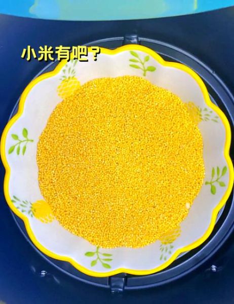 小米锅巴家常做法_怎么做才酥脆不回软-第1张图片-山城妙识 小米锅巴家常做法_怎么做才酥脆不回软-第1张图片-山城妙识