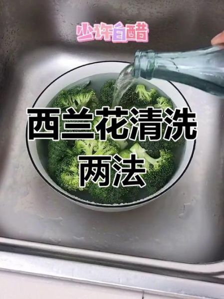 西兰花怎么洗才干净_西兰花清洗的正确方法-第2张图片-山城妙识