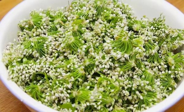 曲靖韭菜花怎么腌制_曲靖韭菜花腌制方法-第1张图片-山城妙识 曲靖韭菜花怎么腌制_曲靖韭菜花腌制方法-第1张图片-山城妙识