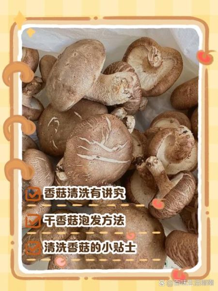 鲜香菇怎么清洗_鲜香菇清洗方法-第2张图片-山城妙识 鲜香菇怎么清洗_鲜香菇清洗方法-第2张图片-山城妙识