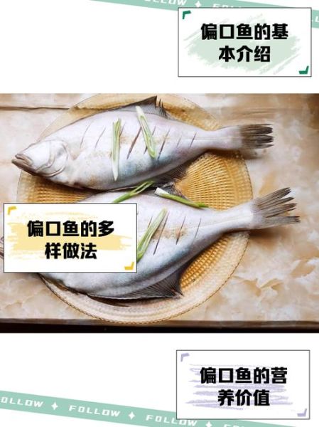 偏口鱼多少钱一斤_偏口鱼图片及价格-第1张图片-山城妙识