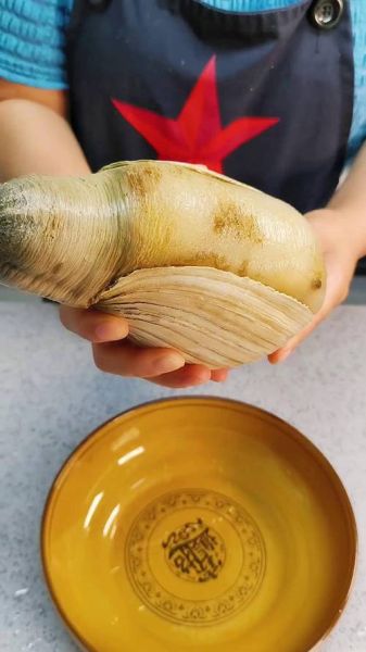 象拔蚌能不能壮阳_象拔蚌怎么吃补肾-第2张图片-山城妙识