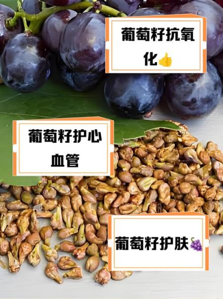葡萄籽什么时候吃最好_一天中吃葡萄籽最佳时间-第1张图片-山城妙识 葡萄籽什么时候吃最好_一天中吃葡萄籽最佳时间-第1张图片-山城妙识
