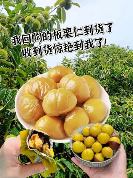 鲜栗子怎么煮好剥皮_鲜栗子煮多久好剥皮-第3张图片-山城妙识 鲜栗子怎么煮好剥皮_鲜栗子煮多久好剥皮-第3张图片-山城妙识