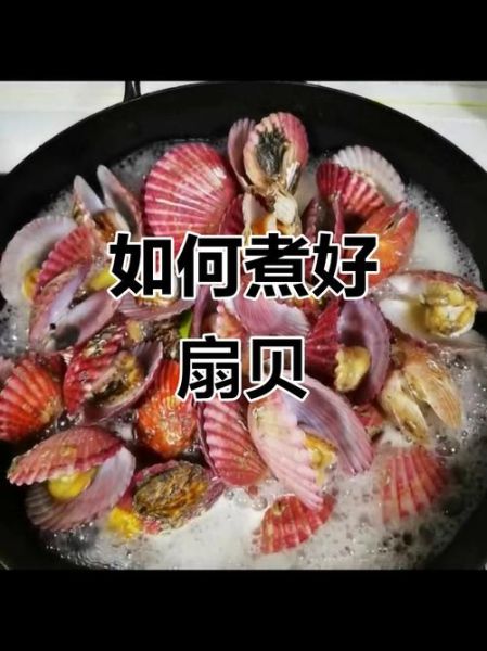 水煮扇贝需要多长时间_扇贝煮多久才熟-第3张图片-山城妙识 水煮扇贝需要多长时间_扇贝煮多久才熟-第3张图片-山城妙识