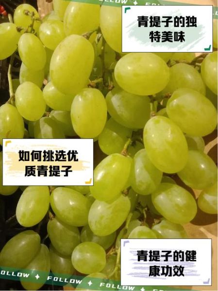 青提子和红提子哪个好_青提子红提子营养区别-第1张图片-山城妙识 青提子和红提子哪个好_青提子红提子营养区别-第1张图片-山城妙识