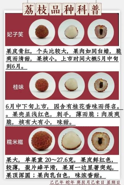 糯米糍荔枝图片_如何挑选正宗糯米糍-第3张图片-山城妙识