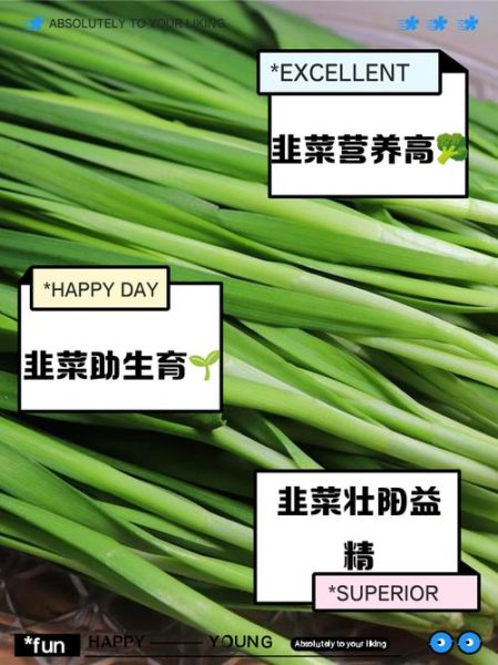 每天吃韭菜多久能壮阳_韭菜壮阳效果真相-第2张图片-山城妙识 每天吃韭菜多久能壮阳_韭菜壮阳效果真相-第2张图片-山城妙识