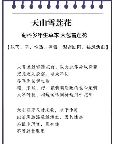 天山雪莲的功效与作用_天山雪莲怎么吃效果最好-第3张图片-山城妙识 天山雪莲的功效与作用_天山雪莲怎么吃效果最好-第3张图片-山城妙识