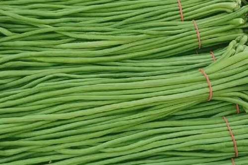 豆角全部视频大全_哪里能看完整版-第1张图片-山城妙识 豆角全部视频大全_哪里能看完整版-第1张图片-山城妙识