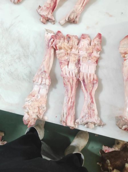 牛蹄筋是牛的哪个部位_牛蹄筋营养价值高吗-第1张图片-山城妙识 牛蹄筋是牛的哪个部位_牛蹄筋营养价值高吗-第1张图片-山城妙识