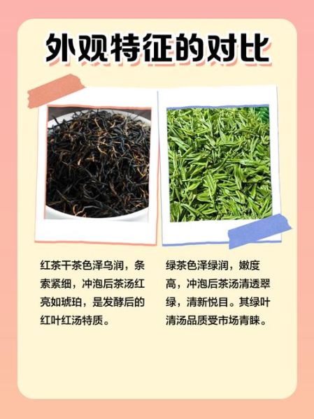 红茶和绿茶的区别在哪里_哪个更健康-第1张图片-山城妙识