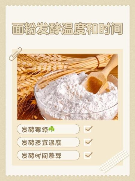 面粉发酵可以一晚上吗_过夜发酵安全吗-第3张图片-山城妙识