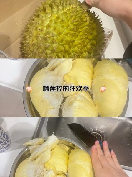 吃一个榴莲会胖几斤_榴莲热量是多少-第1张图片-山城妙识 吃一个榴莲会胖几斤_榴莲热量是多少-第1张图片-山城妙识