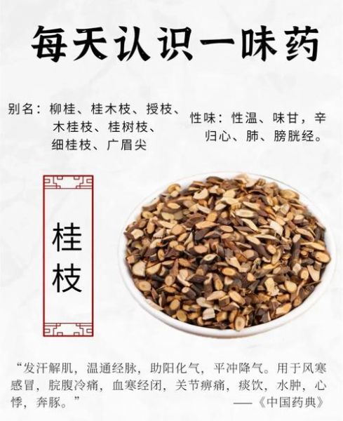 桂枝的功效与作用及禁忌症_桂枝哪些人不能吃-第1张图片-山城妙识 桂枝的功效与作用及禁忌症_桂枝哪些人不能吃-第1张图片-山城妙识