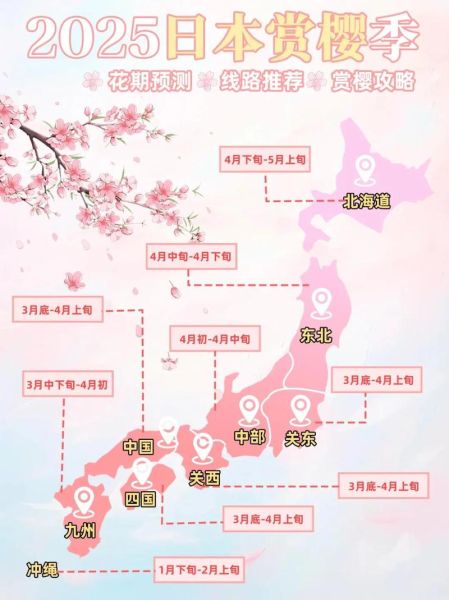 日本樱花什么时候开_赏樱最佳时间-第3张图片-山城妙识 日本樱花什么时候开_赏樱最佳时间-第3张图片-山城妙识