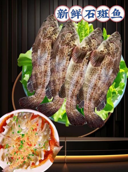 青石斑鱼怎么清蒸好吃_青石斑鱼家常做法步骤-第3张图片-山城妙识