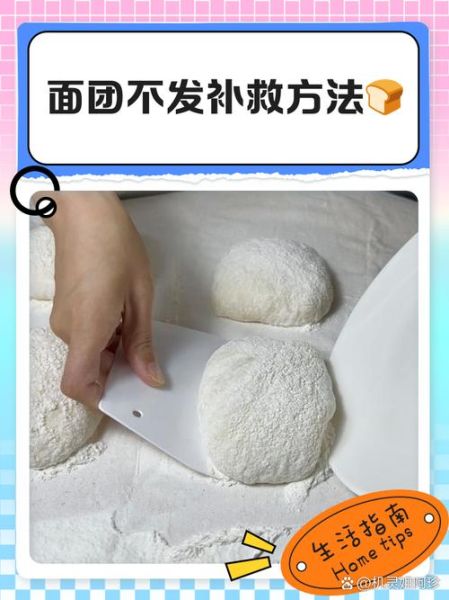 面粉不发酵怎么补救_面团发不起来怎么办-第1张图片-山城妙识 面粉不发酵怎么补救_面团发不起来怎么办-第1张图片-山城妙识