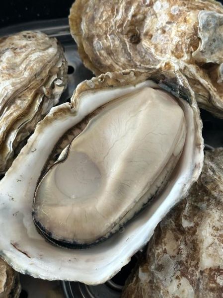 生蚝蒸多久才熟_蒸生蚝的正确做法-第3张图片-山城妙识