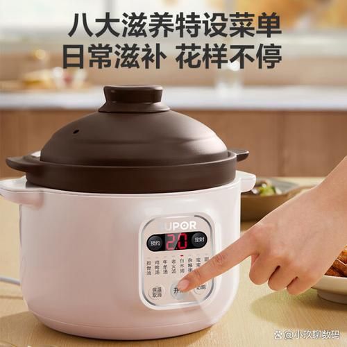 苏泊尔电炖锅食谱大全_苏泊尔电炖锅怎么炖汤好喝-第2张图片-山城妙识 苏泊尔电炖锅食谱大全_苏泊尔电炖锅怎么炖汤好喝-第2张图片-山城妙识