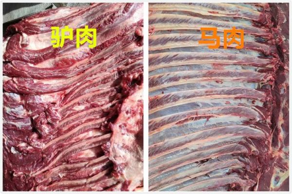马肉和驴肉的区别_哪个更好吃-第2张图片-山城妙识 马肉和驴肉的区别_哪个更好吃-第2张图片-山城妙识