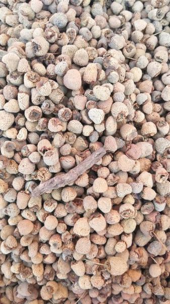 覆盆子价格多少钱一斤_覆盆子为什么这么贵-第1张图片-山城妙识 覆盆子价格多少钱一斤_覆盆子为什么这么贵-第1张图片-山城妙识