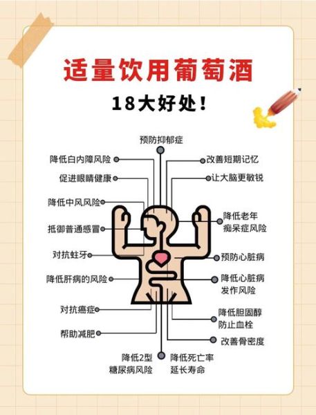 常喝葡萄酒的好处有哪些_每天喝多少才健康-第1张图片-山城妙识 常喝葡萄酒的好处有哪些_每天喝多少才健康-第1张图片-山城妙识