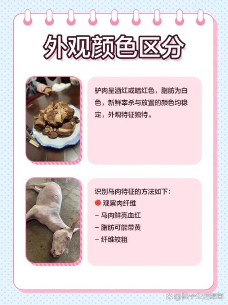 马肉和驴肉的区别_哪个更好吃-第1张图片-山城妙识 马肉和驴肉的区别_哪个更好吃-第1张图片-山城妙识