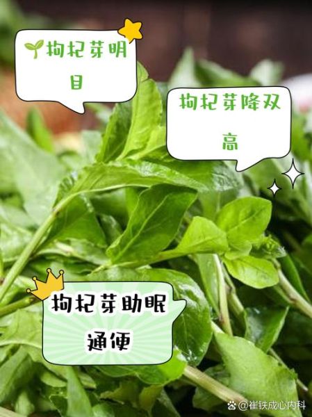 枸杞芽茶的功效与禁忌_适合什么人喝-第1张图片-山城妙识 枸杞芽茶的功效与禁忌_适合什么人喝-第1张图片-山城妙识