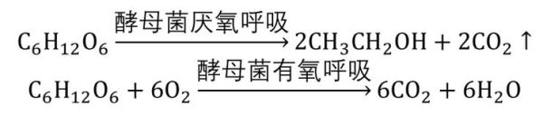 酵母菌无氧呼吸产物有哪些_为什么会产生酒精-第3张图片-山城妙识 酵母菌无氧呼吸产物有哪些_为什么会产生酒精-第3张图片-山城妙识