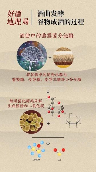 酵母菌无氧呼吸产物有哪些_为什么会产生酒精-第2张图片-山城妙识 酵母菌无氧呼吸产物有哪些_为什么会产生酒精-第2张图片-山城妙识