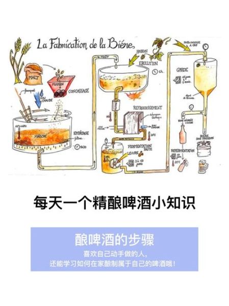 精酿啤酒生产工艺流程_如何在家自酿精酿啤酒-第1张图片-山城妙识 精酿啤酒生产工艺流程_如何在家自酿精酿啤酒-第1张图片-山城妙识