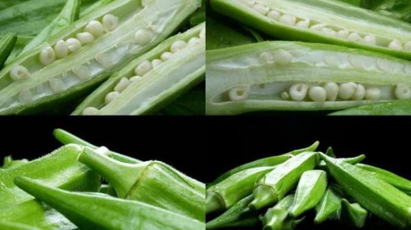 秋葵视频下载安卓版安全吗_秋葵视频下载安卓版怎么安装-第2张图片-山城妙识 秋葵视频下载安卓版安全吗_秋葵视频下载安卓版怎么安装-第2张图片-山城妙识