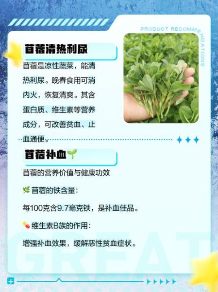 苜蓿菜一斤多少钱_苜蓿菜价格受哪些因素影响-第3张图片-山城妙识 苜蓿菜一斤多少钱_苜蓿菜价格受哪些因素影响-第3张图片-山城妙识