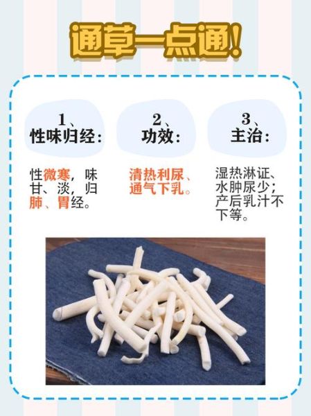 大通草和小通草哪个下奶效果好_怎么选-第1张图片-山城妙识 大通草和小通草哪个下奶效果好_怎么选-第1张图片-山城妙识